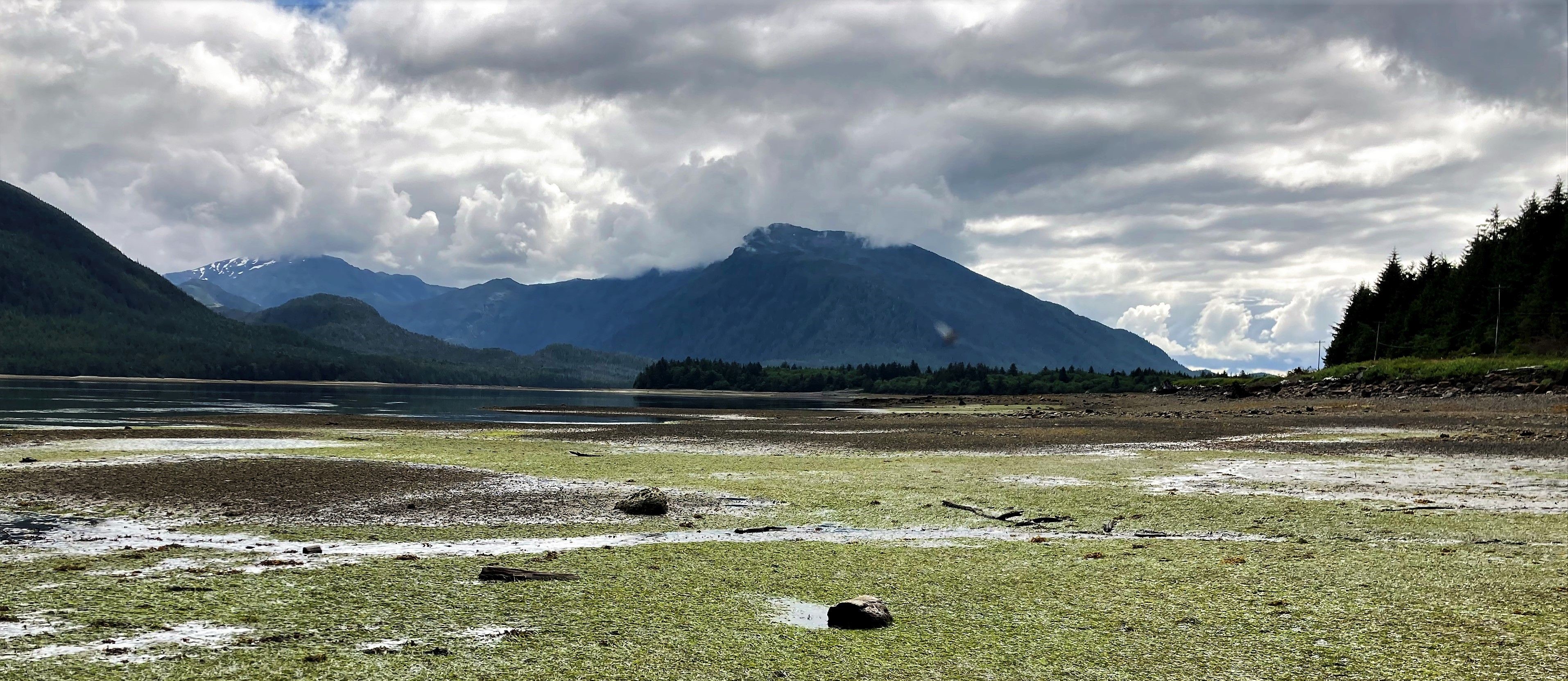 Colby Creek Estuary_crop.jpg | FWS.gov